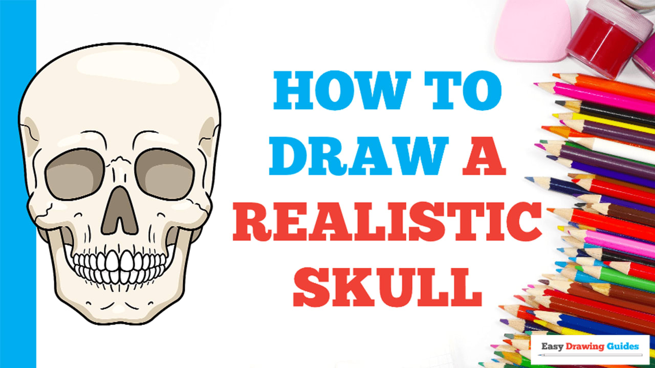 how to draw a realistic skull step by step easy