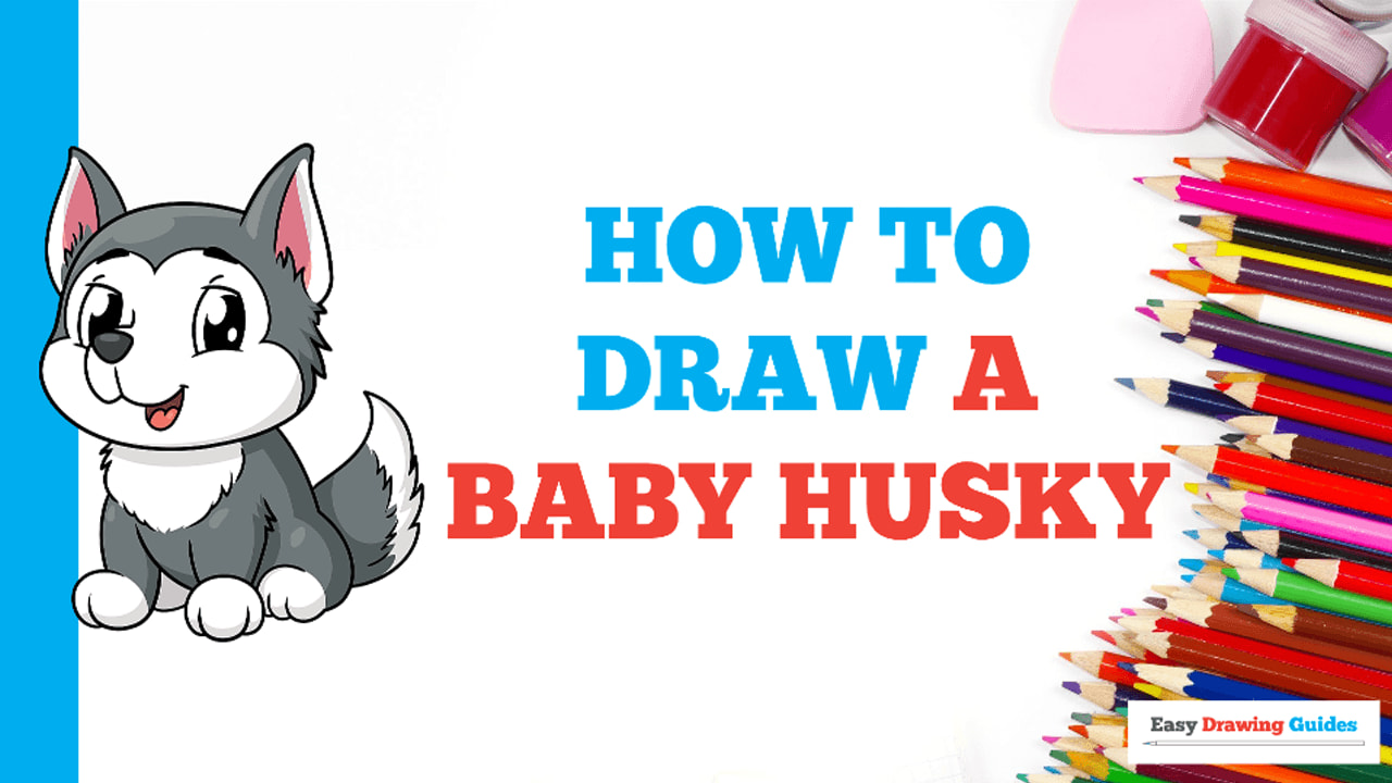 how to draw a puppy husky easy