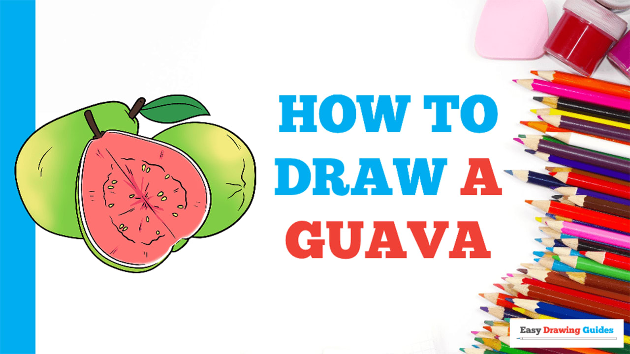 guava drawing easy