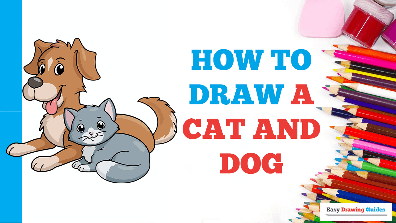 how to draw cat and dog