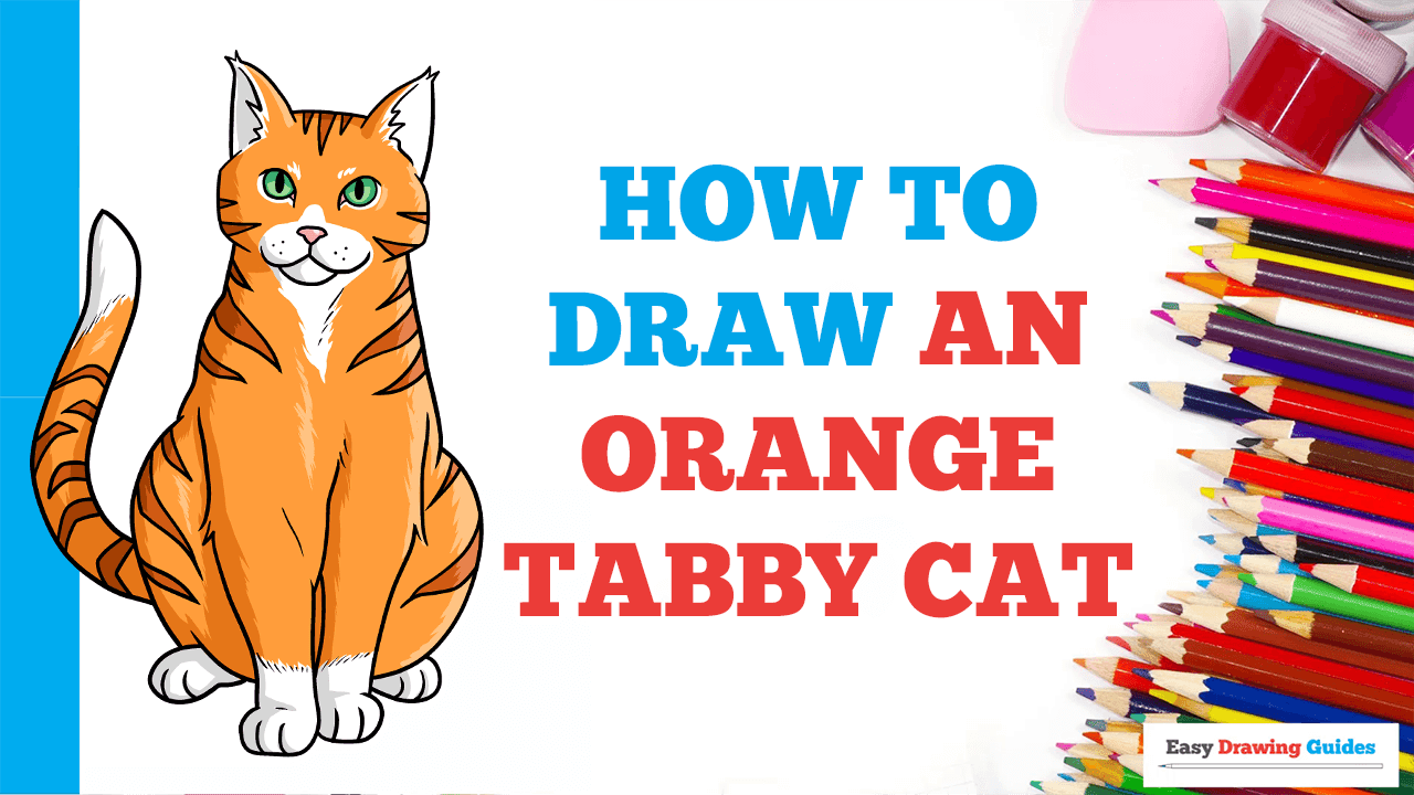 how to draw cat art hub