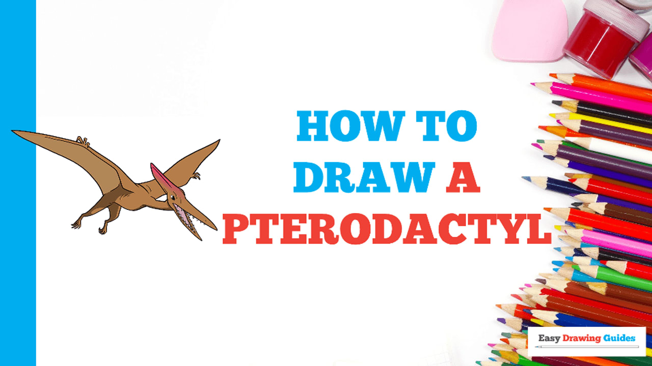drawing a pterodactyl