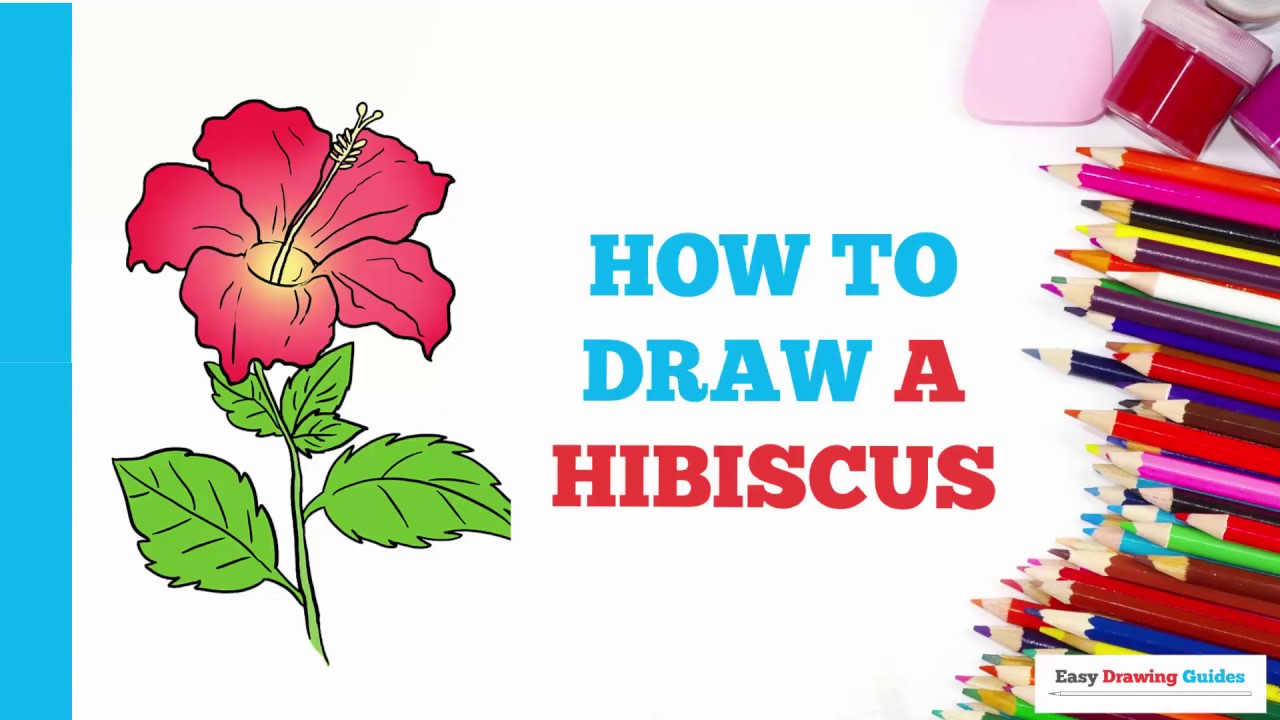 how to draw hawaii flowers easy