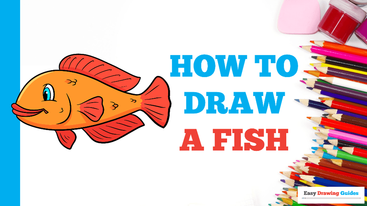 how to draw cartoon fish easy