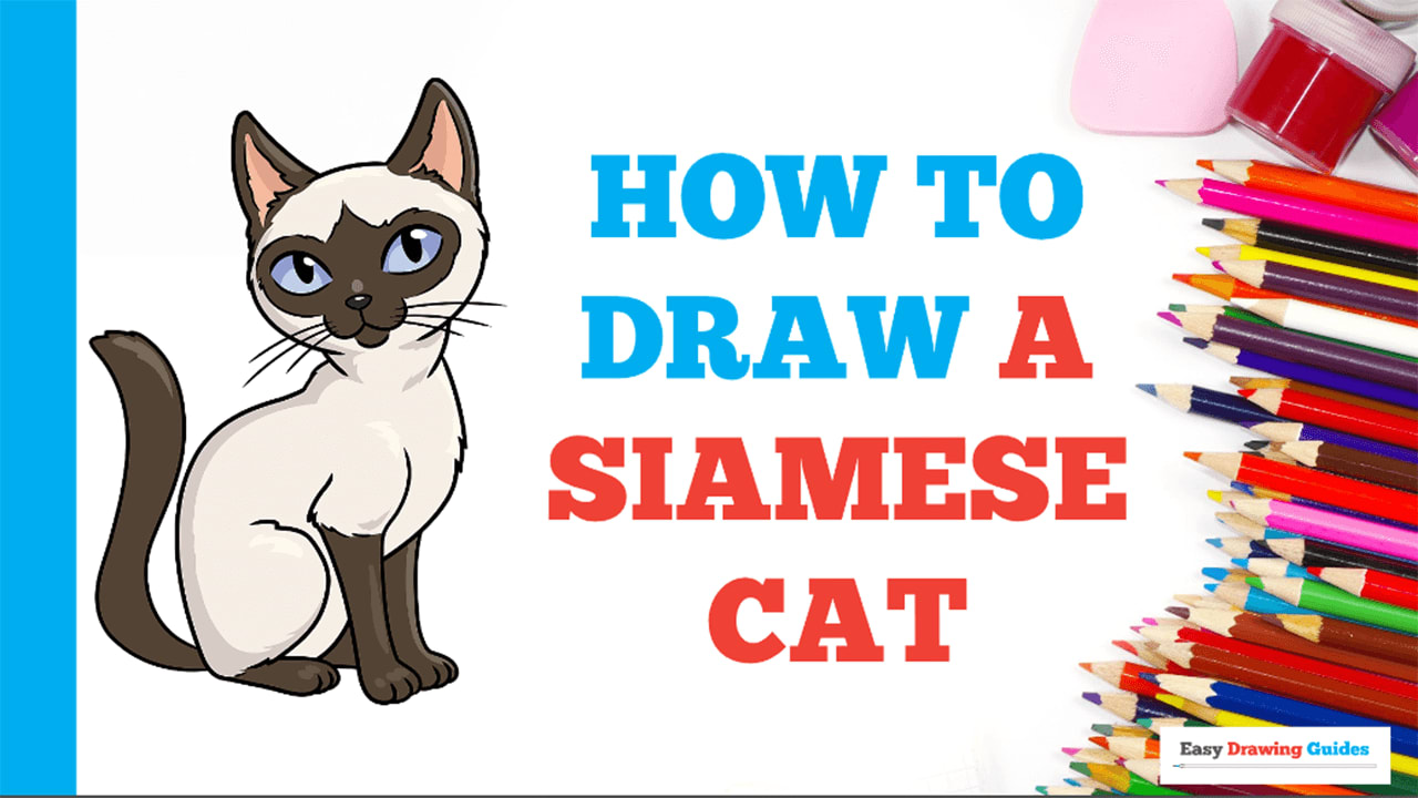 how to draw a cat face youtube