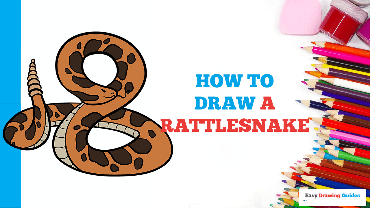 how to draw a rattlesnake
