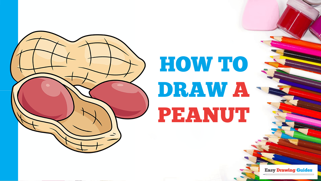 drawing peanut