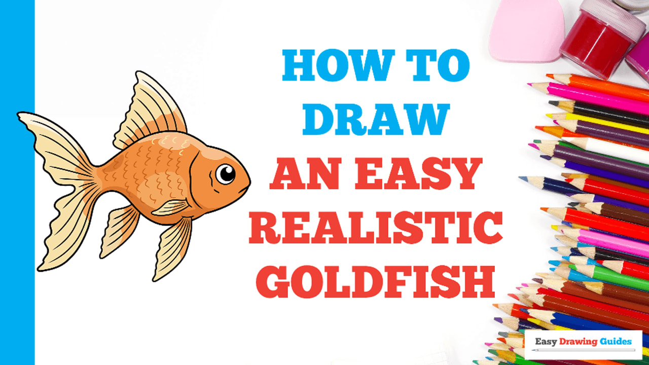 how to draw a real goldfish