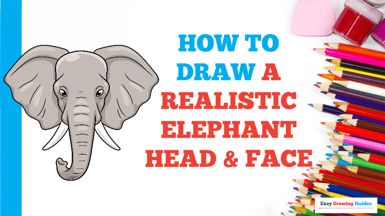 how to draw a realistic elephant step by step easy