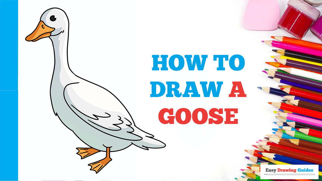 how to draw goose feet