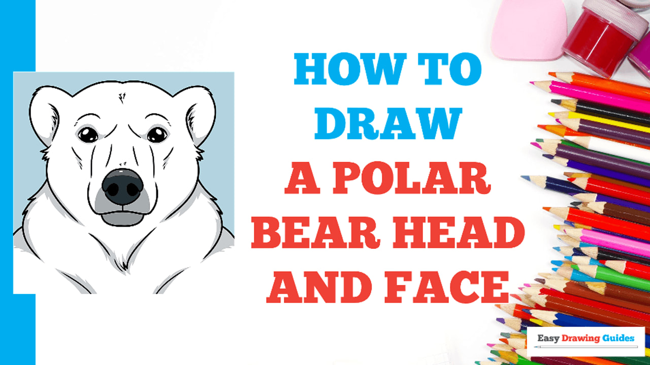 how to draw a bear head