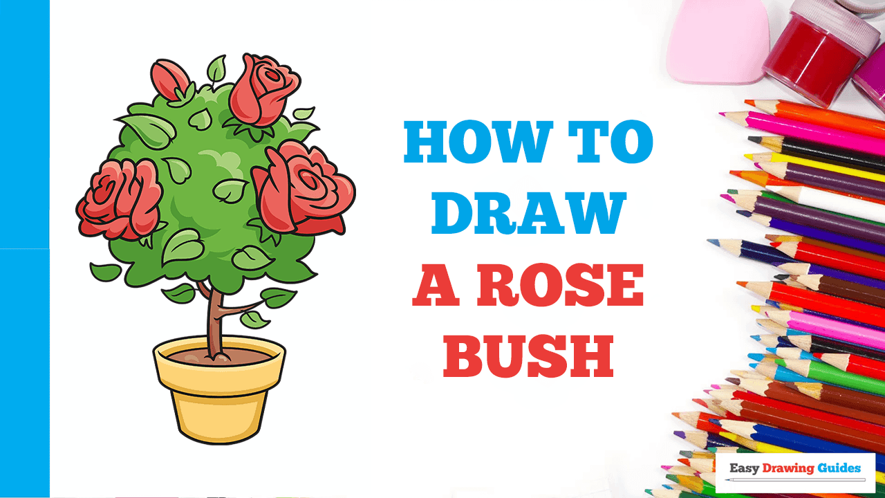how to draw a rose artforkidshub