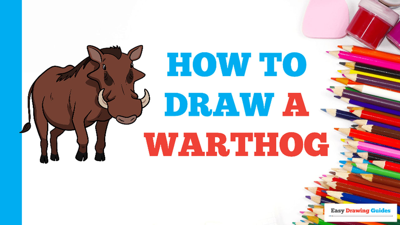 warthog draw