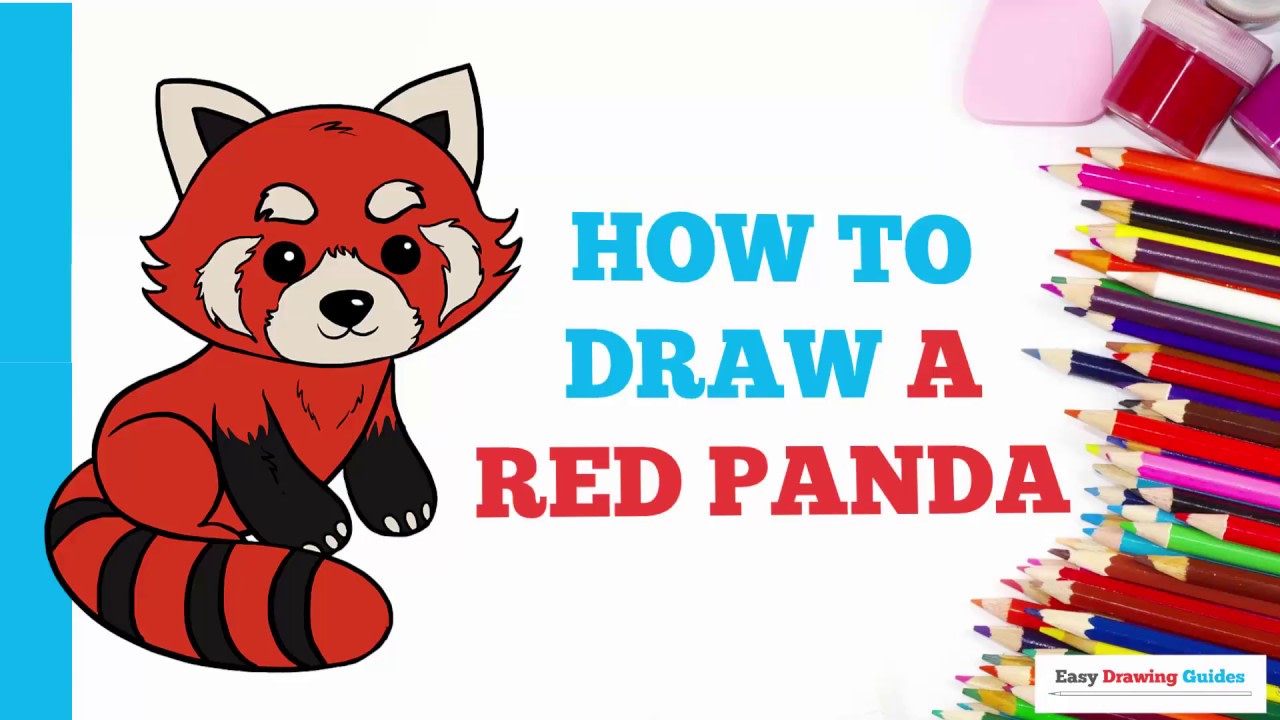 red panda drawing