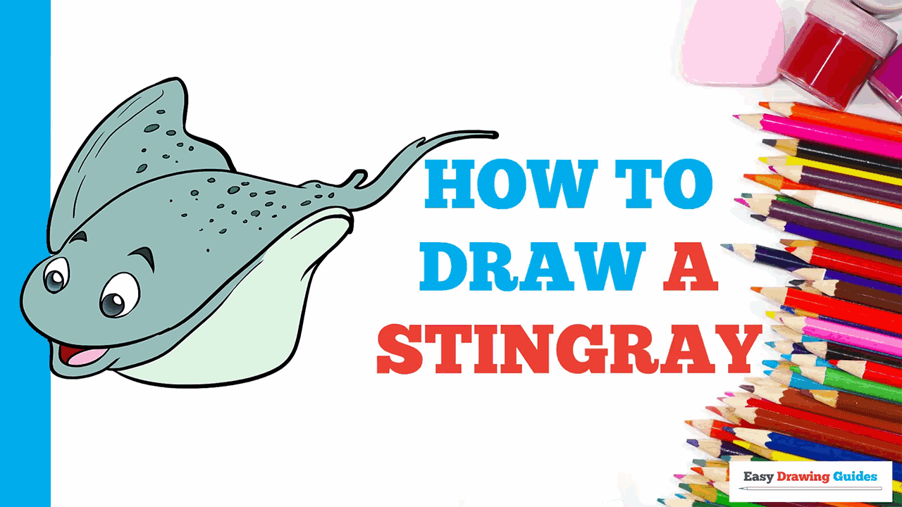 how to draw a stingray