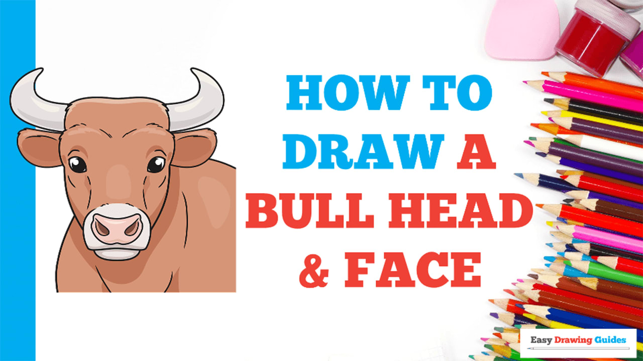 how to draw bull head