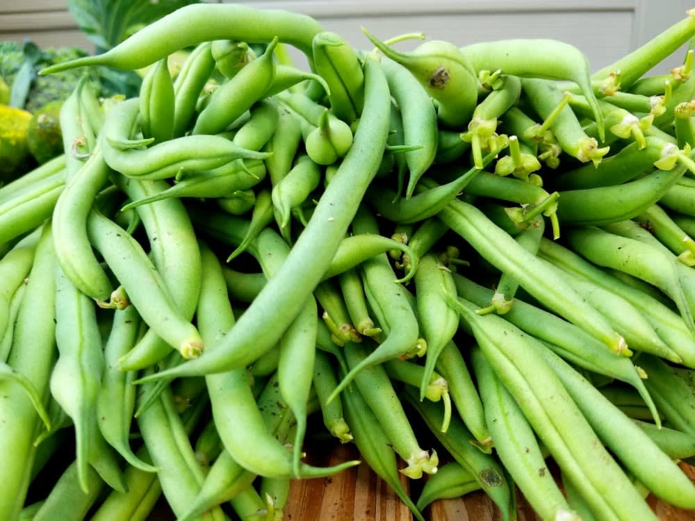 how to prepare green and yellow beans for freezing