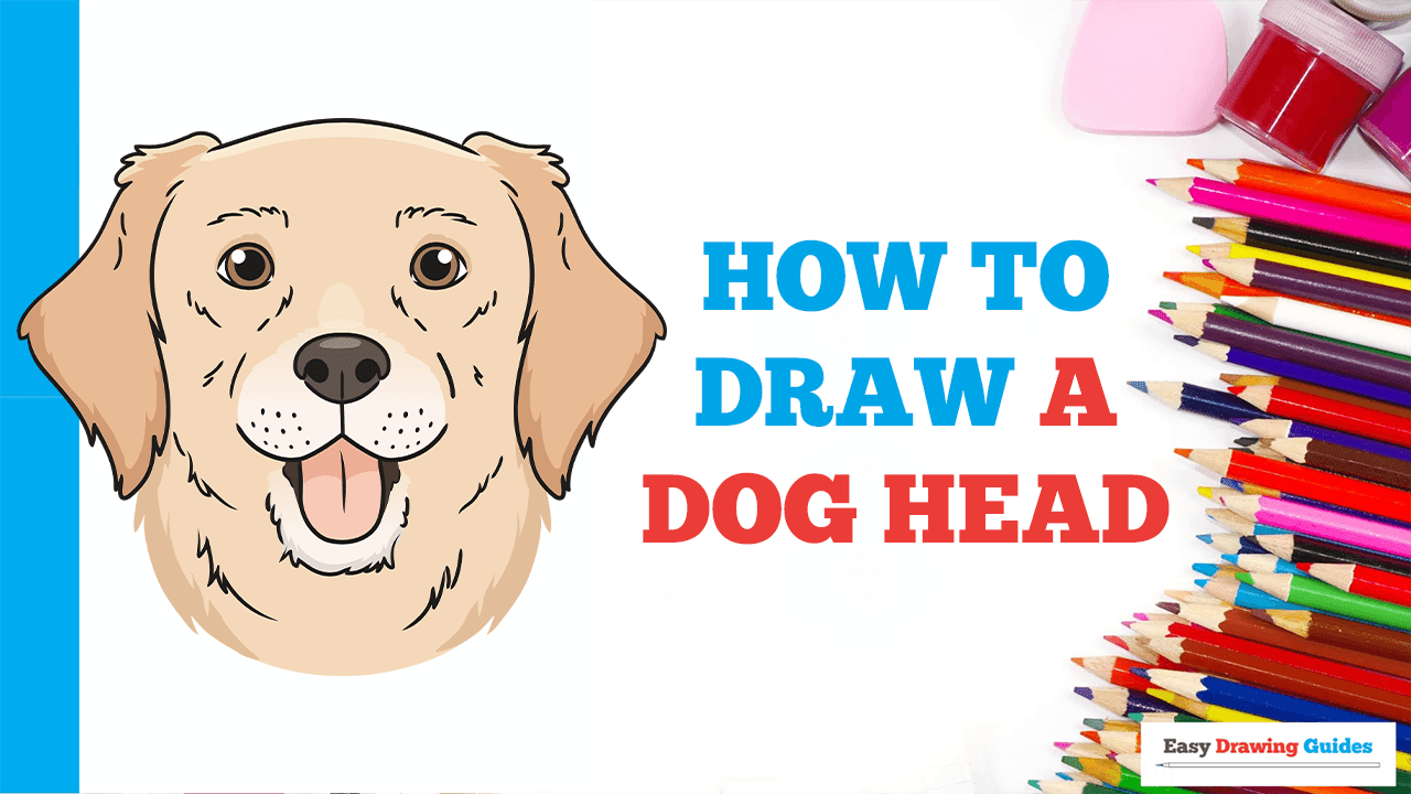 how to draw a puppy head easy