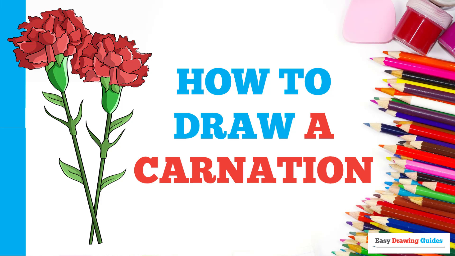 how to draw carnation flowers