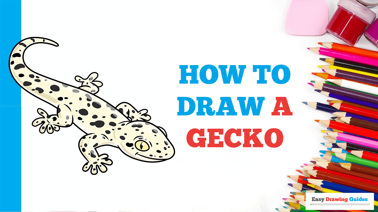 gecko drawing easy