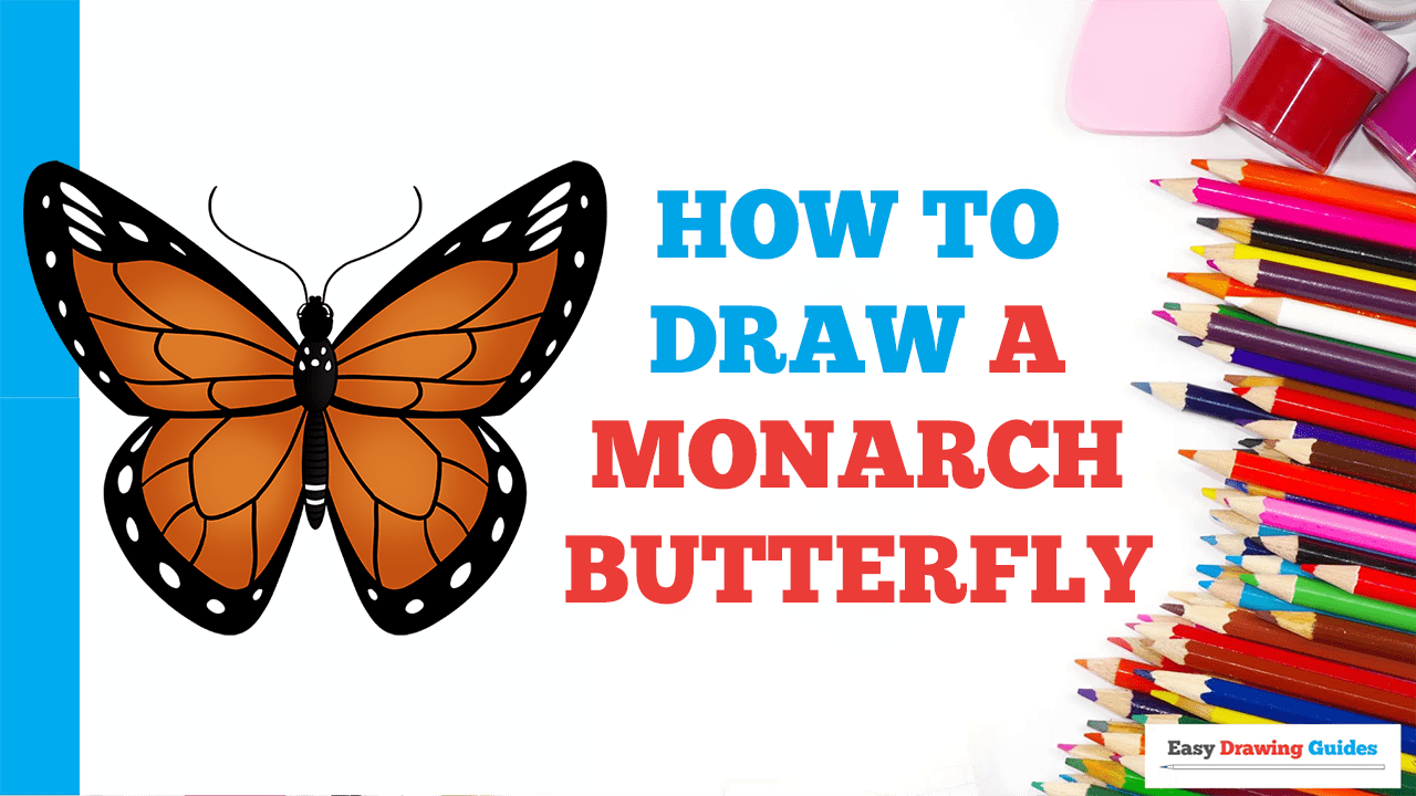 how to draw a butterfly art hub