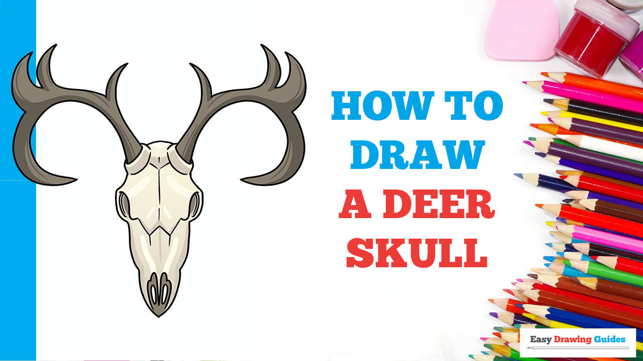 how to draw deer head