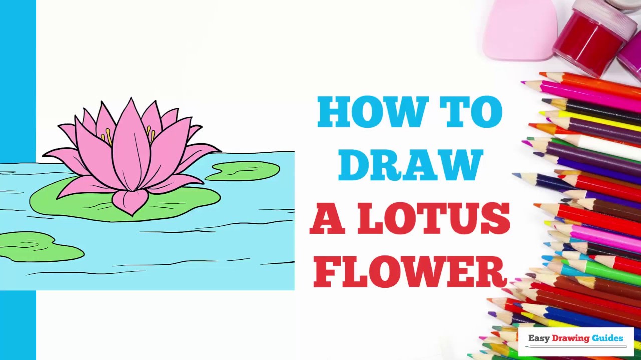 how to draw flowers lotus