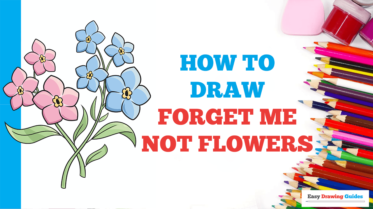 how to draw forget me not flowers