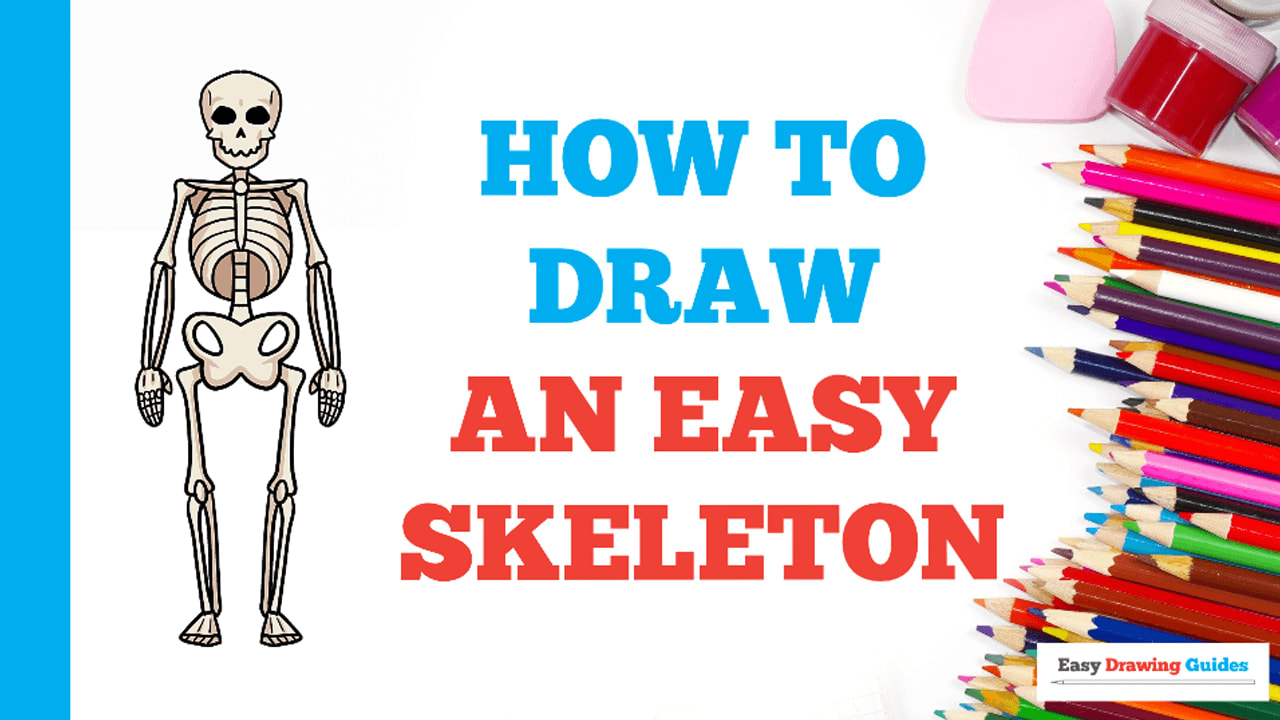 human skeleton simple drawing
