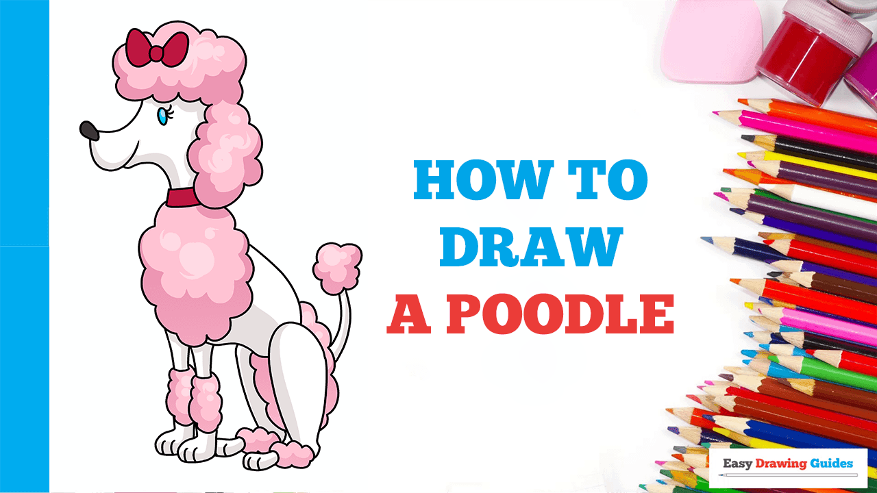 easy poodle drawing