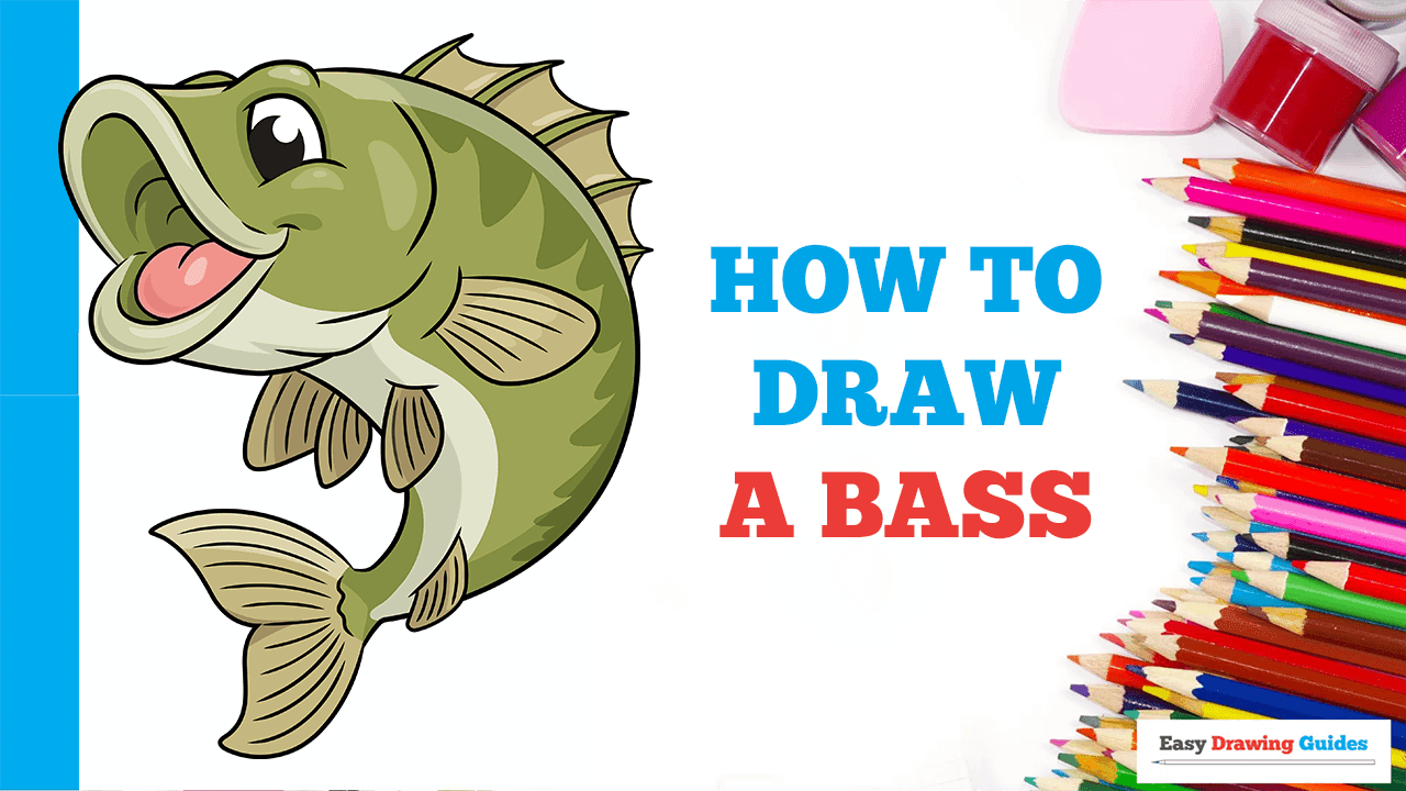 how to draw a largemouth bass