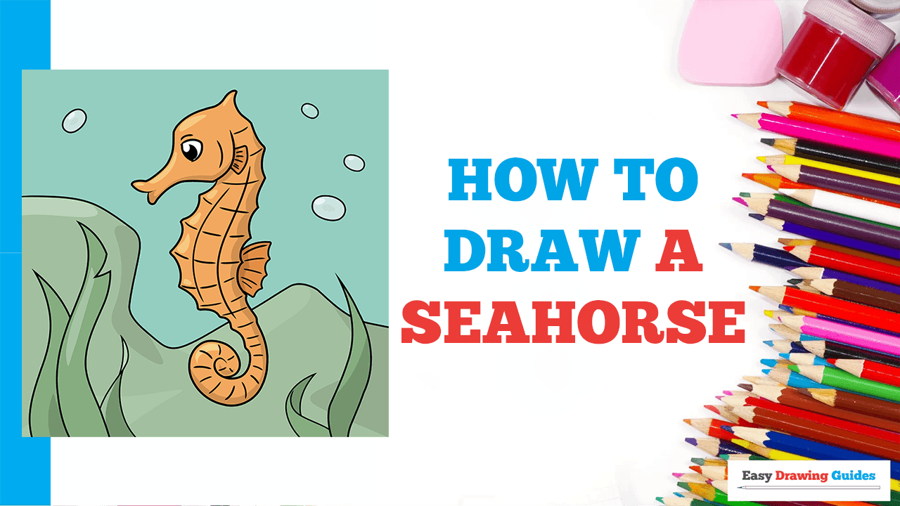 how to draw horse fish