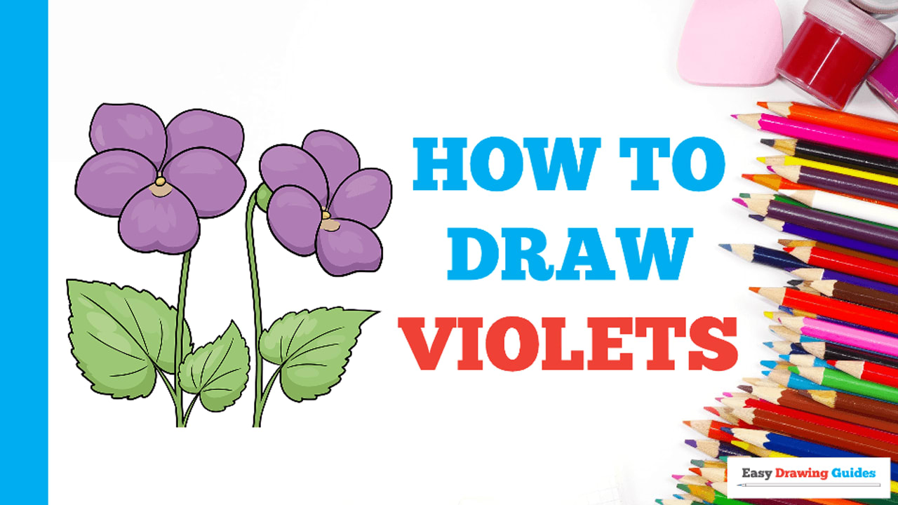 how to draw violets flowers
