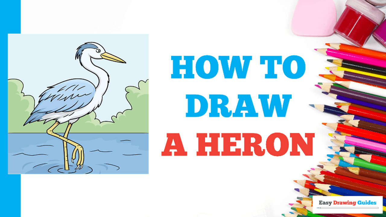 how to draw heron bird