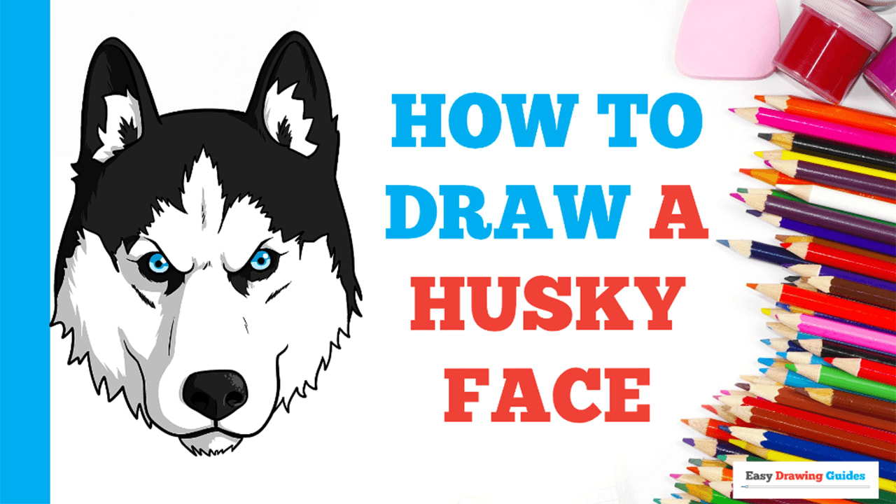 how to draw a dog husky step by step