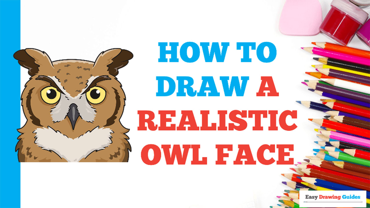 how to draw a realistic owl easy