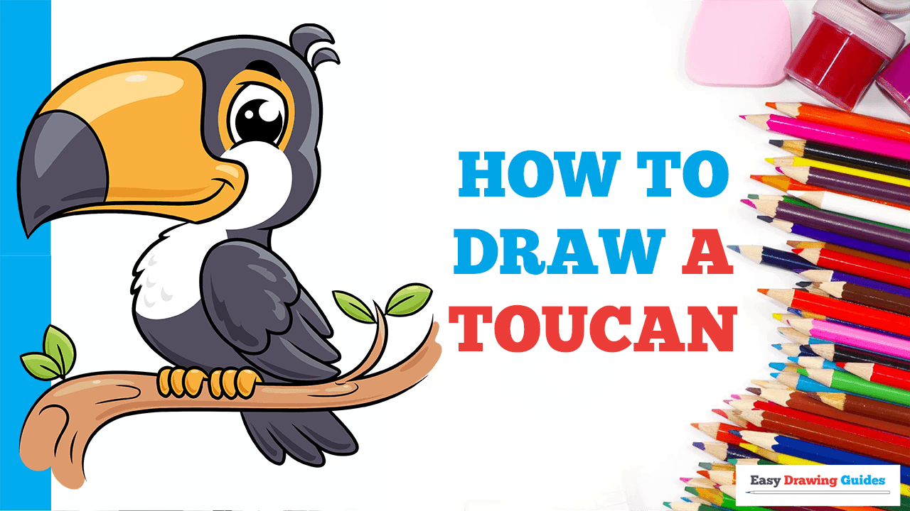 how to draw a kawaii toucan