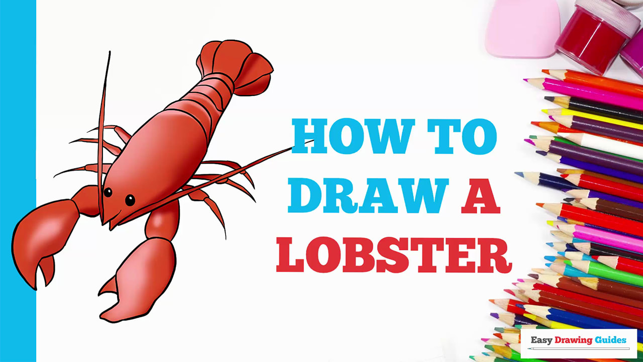 lobster drawing simple