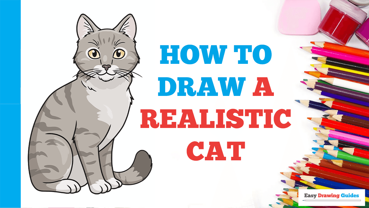 How To Draw A Cat Easily