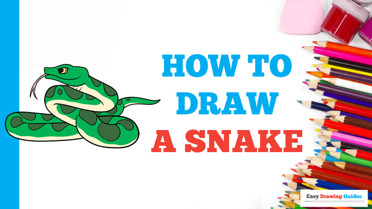 how to draw coiled snake