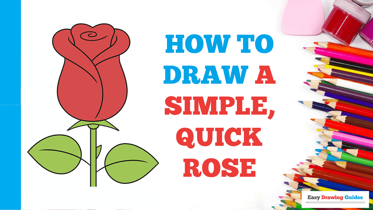 how to draw a rose quickly
