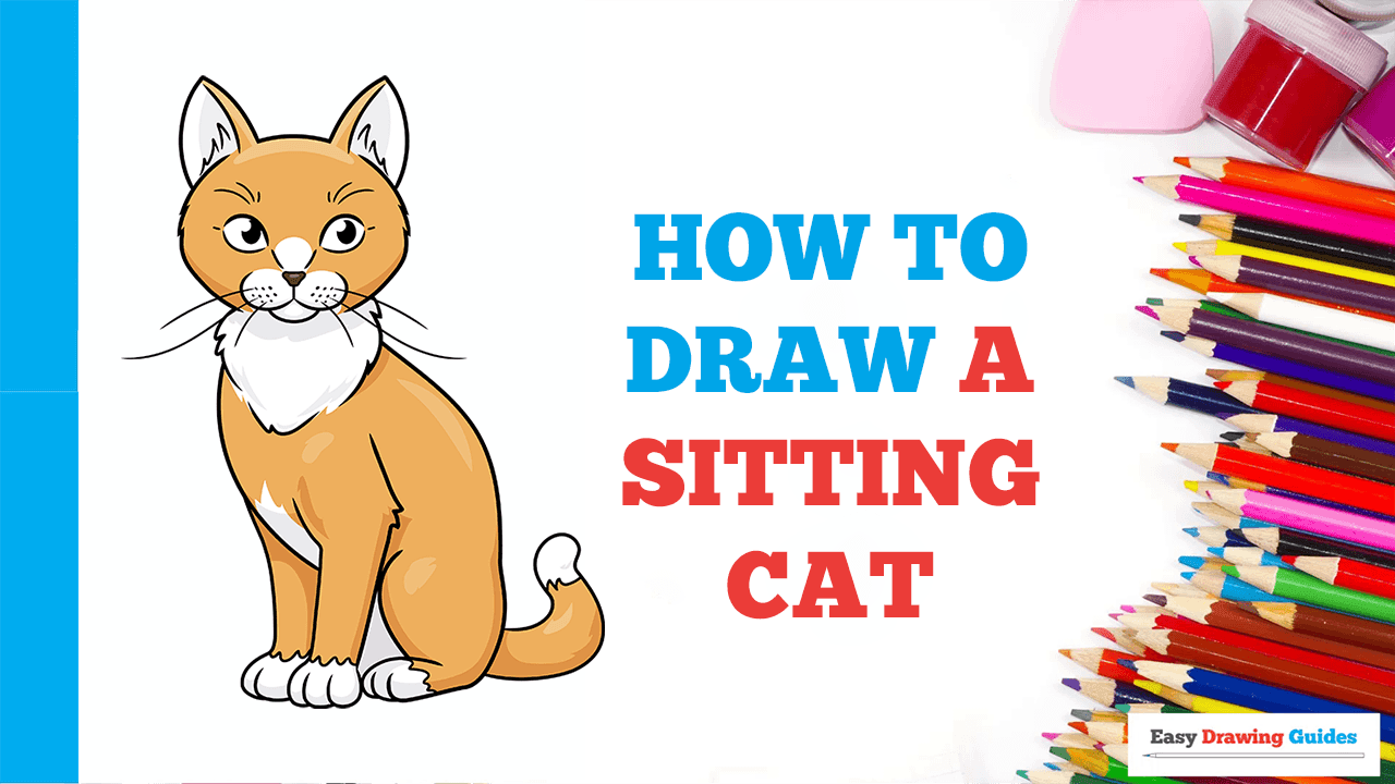 how to draw cat sitting up