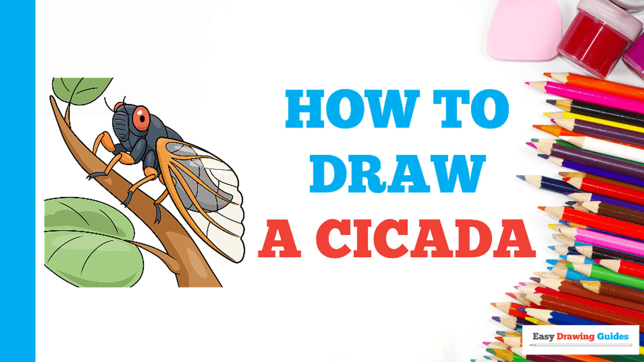 cicada drawing simple