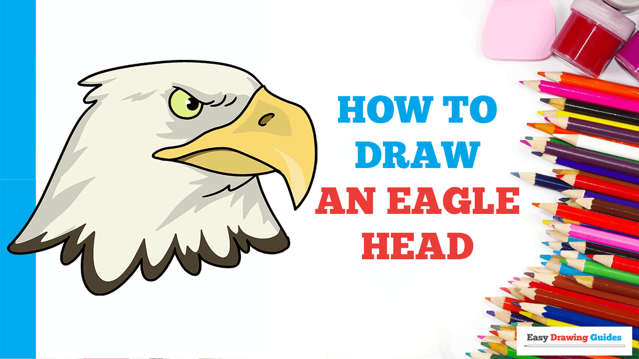 how to draw eagle head easy