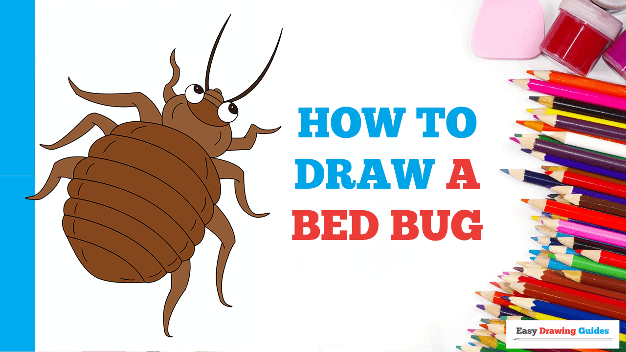 cute bed bug drawing