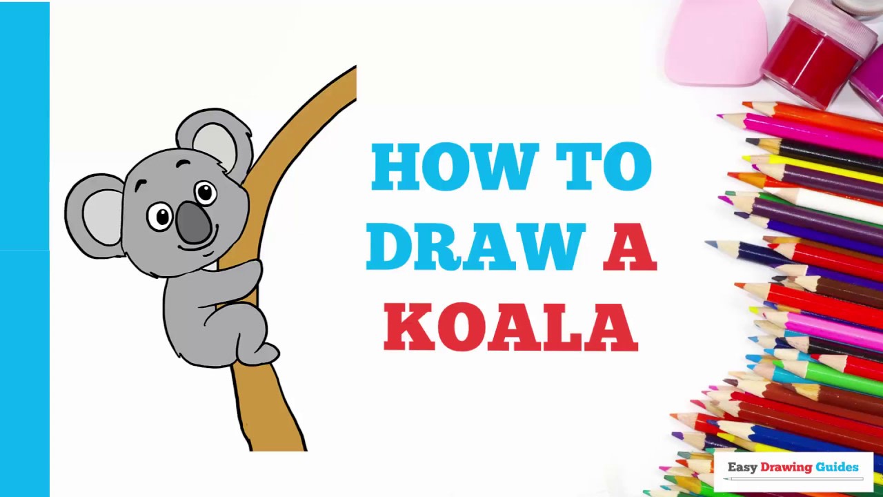 koala drawing tutorial