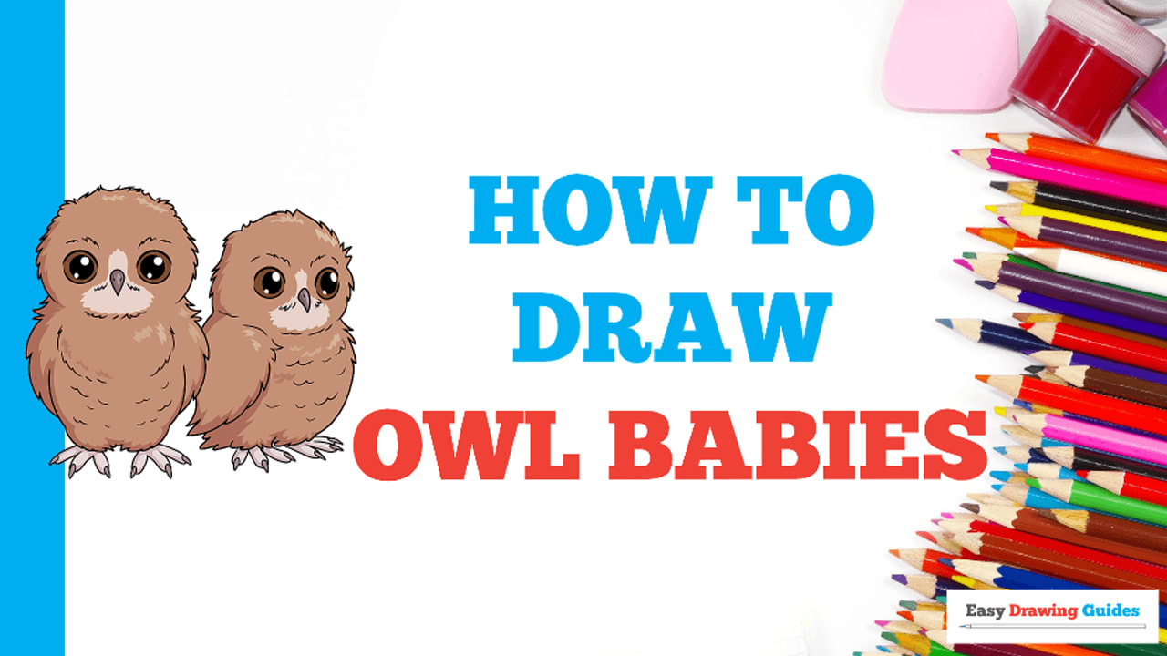 how to draw an baby owl
