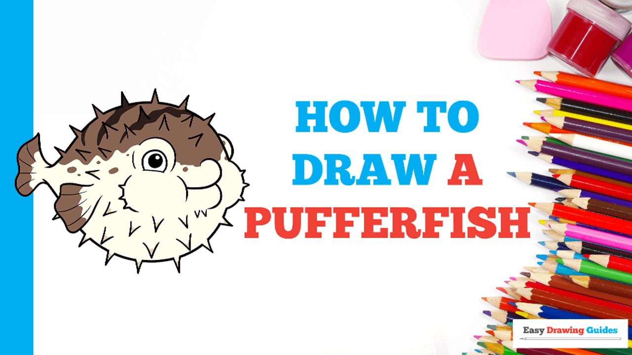 puffer fish drawing simple