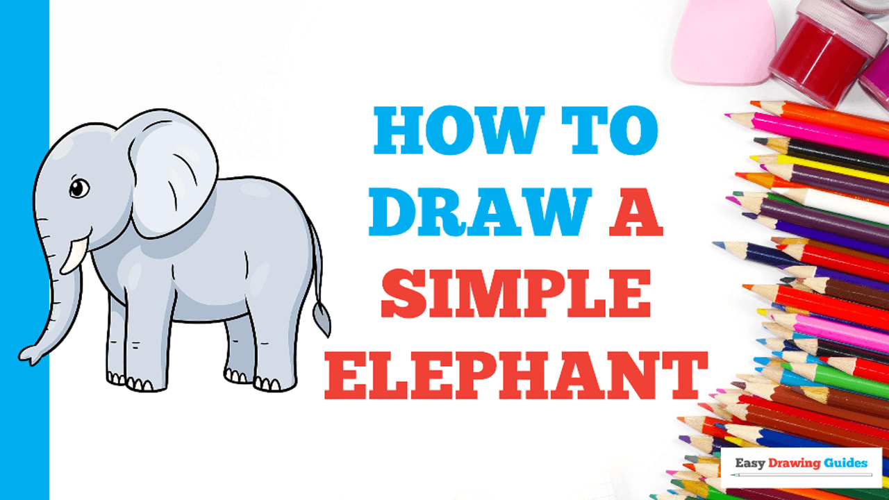 how to draw elephant tail
