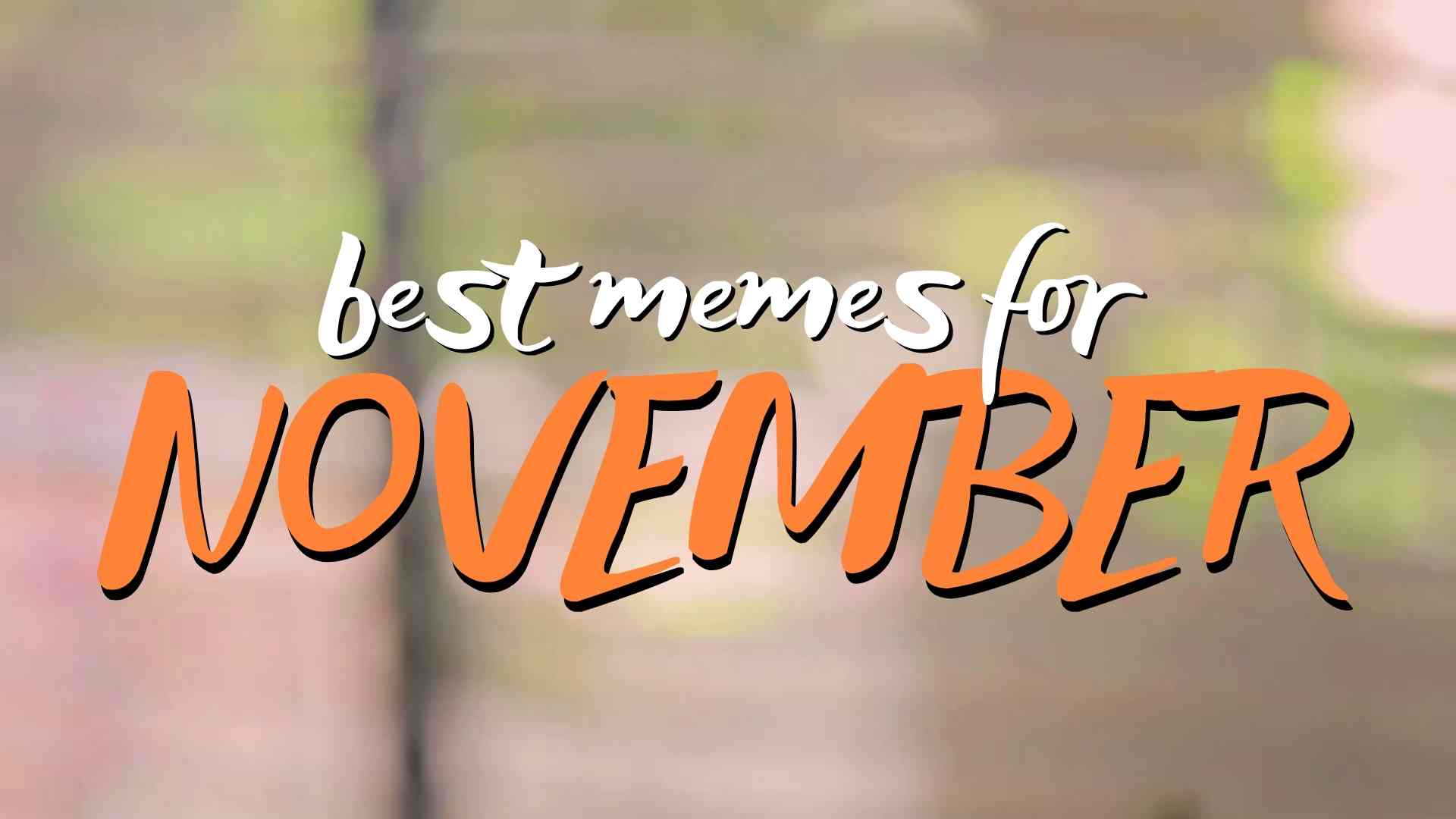 funny november
